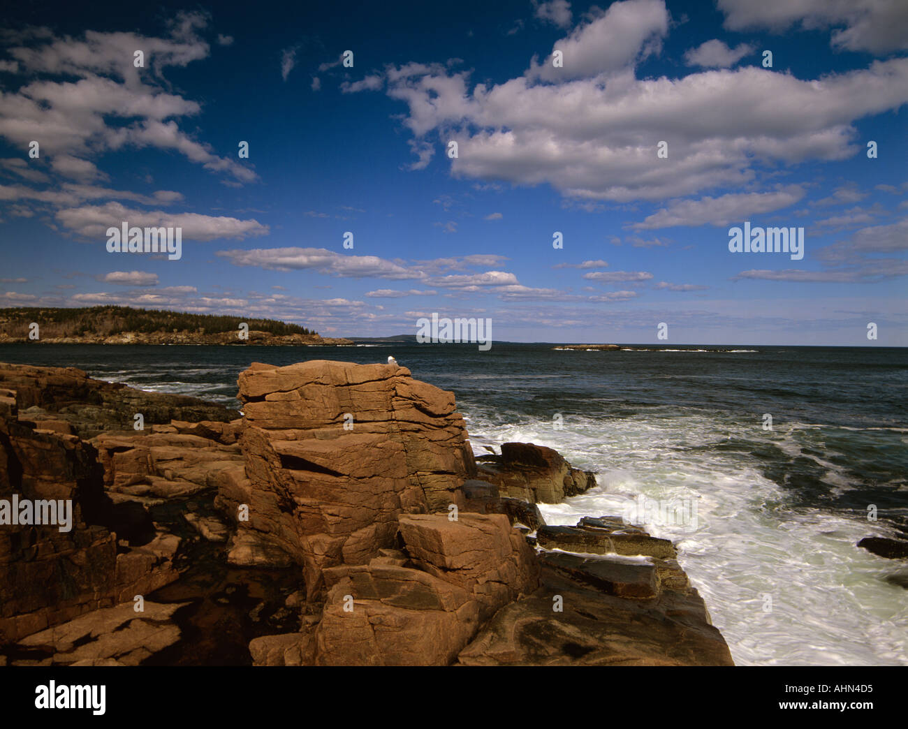 Maine s Rocky Shoreline in Acadia National Park Maine USA which is ...