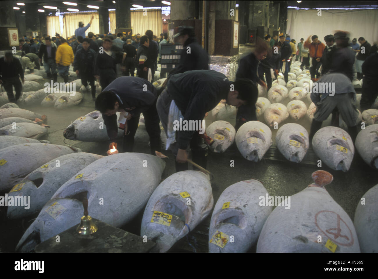 Giant bluefin tuna tokyo hi-res stock photography and images - Alamy