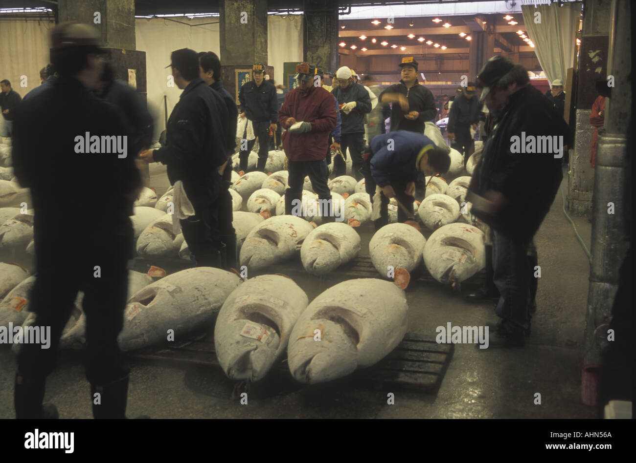 Giant bluefin tuna tokyo hi-res stock photography and images - Alamy