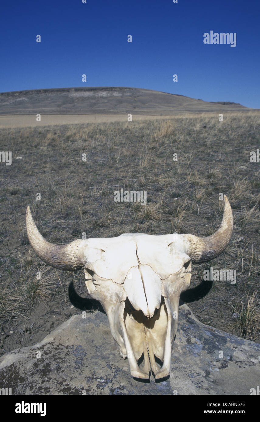 Ulm Pishkun buffalo jump near Great Falls Montana Stock Photo - Alamy