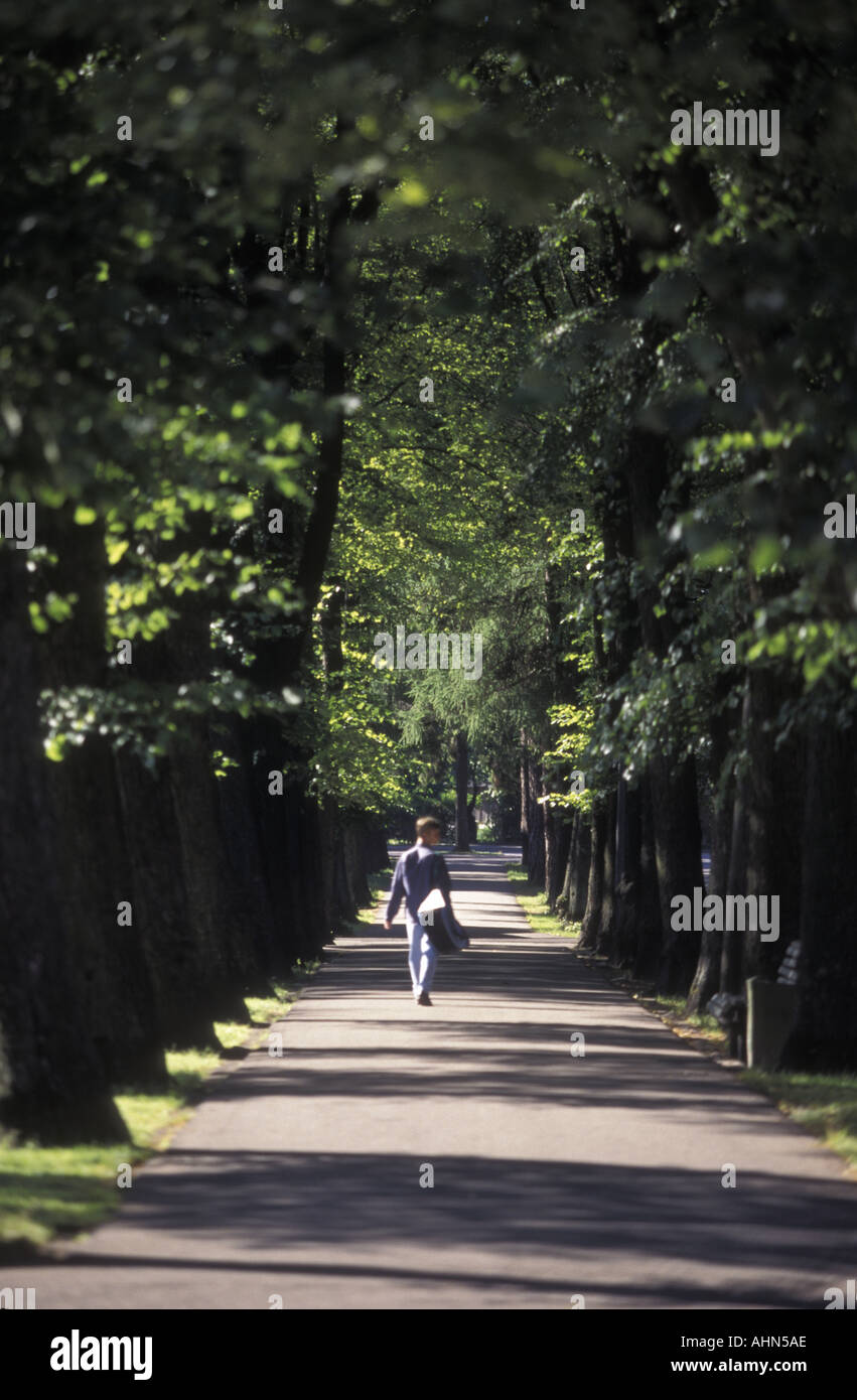 Tree lined boulevard hi-res stock photography and images - Alamy