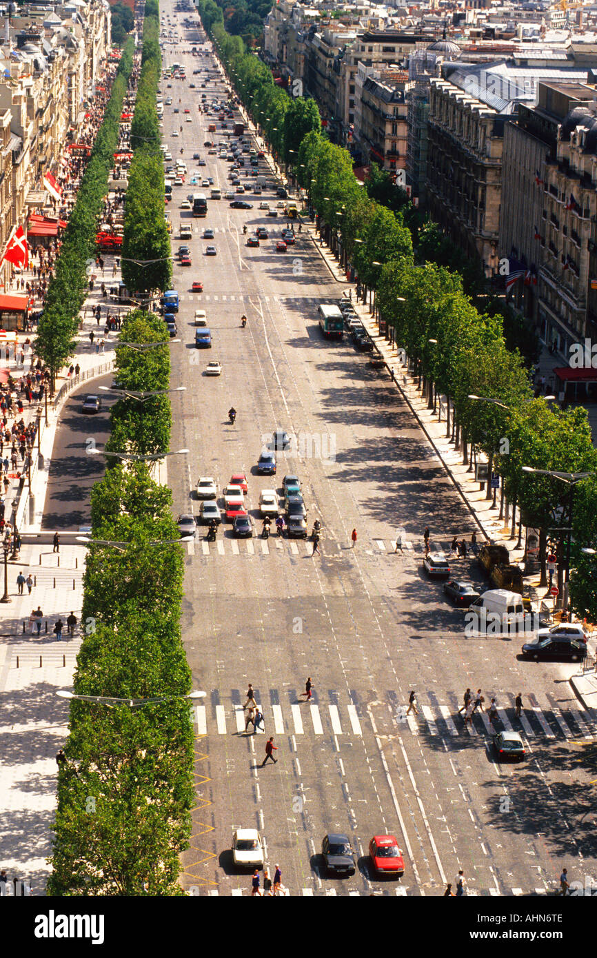 Paris Avenue des Champs Elysees tree lined boulevard in french European ...