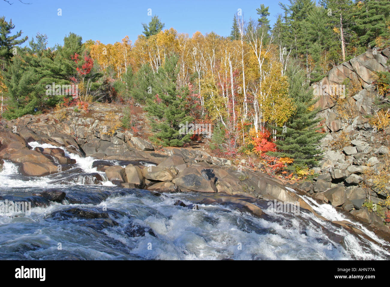 eye level view of flowing river in forest scene Stock Photo - Alamy