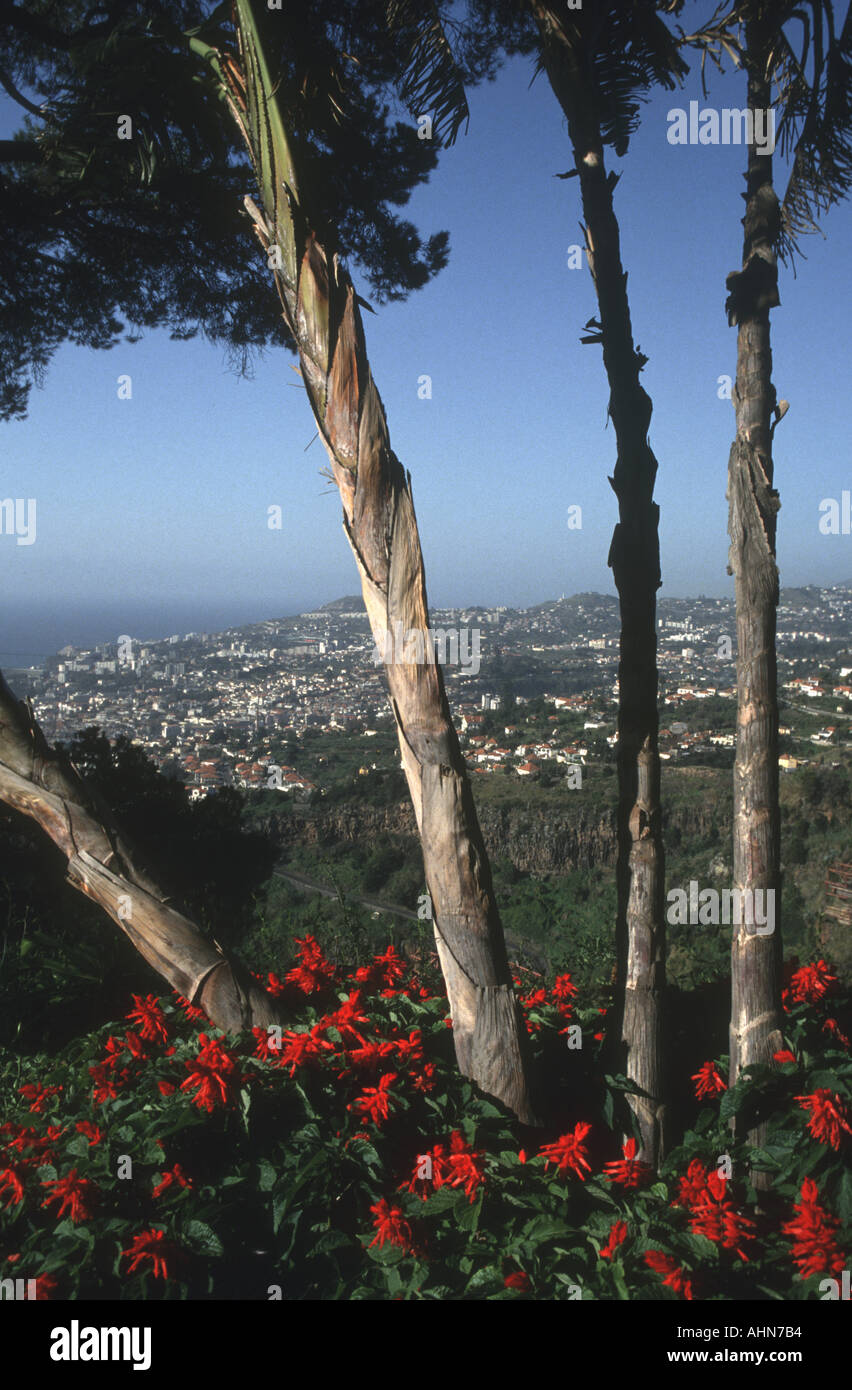 Funchal from botanic gardens hi-res stock photography and images - Alamy