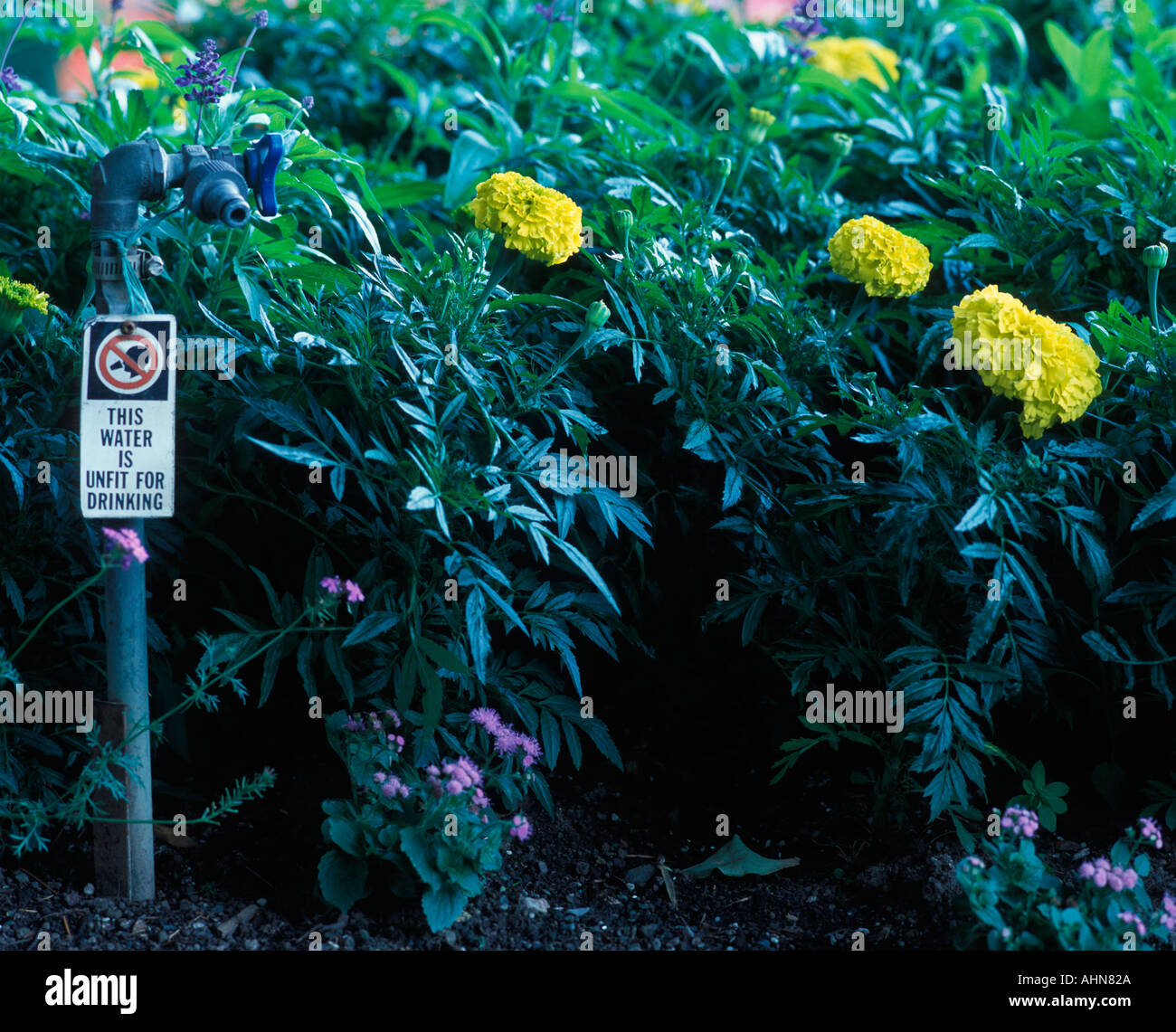 Hazard sign for garden water Stock Photo - Alamy