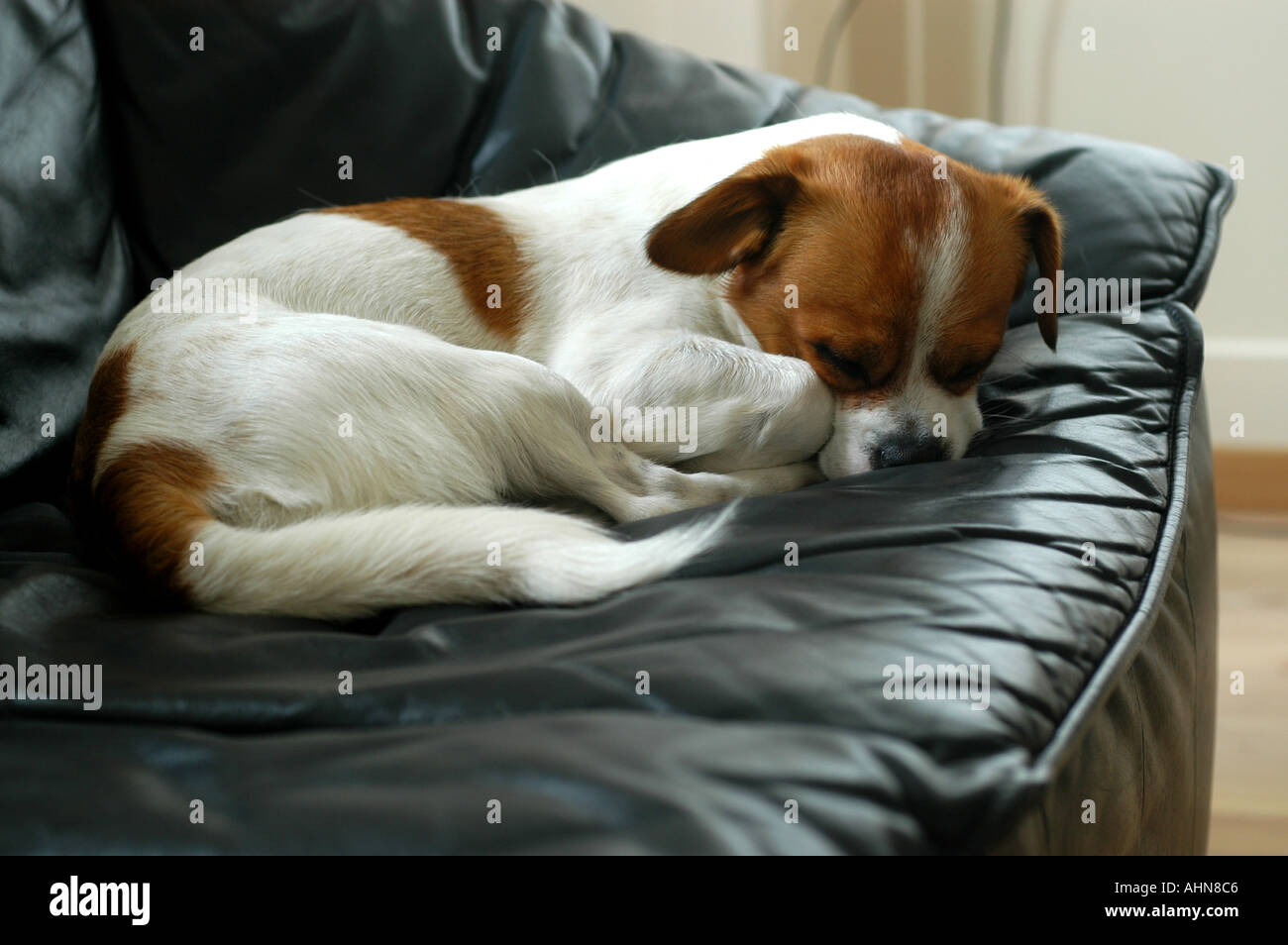 Lazyness hi-res stock photography and images - Alamy