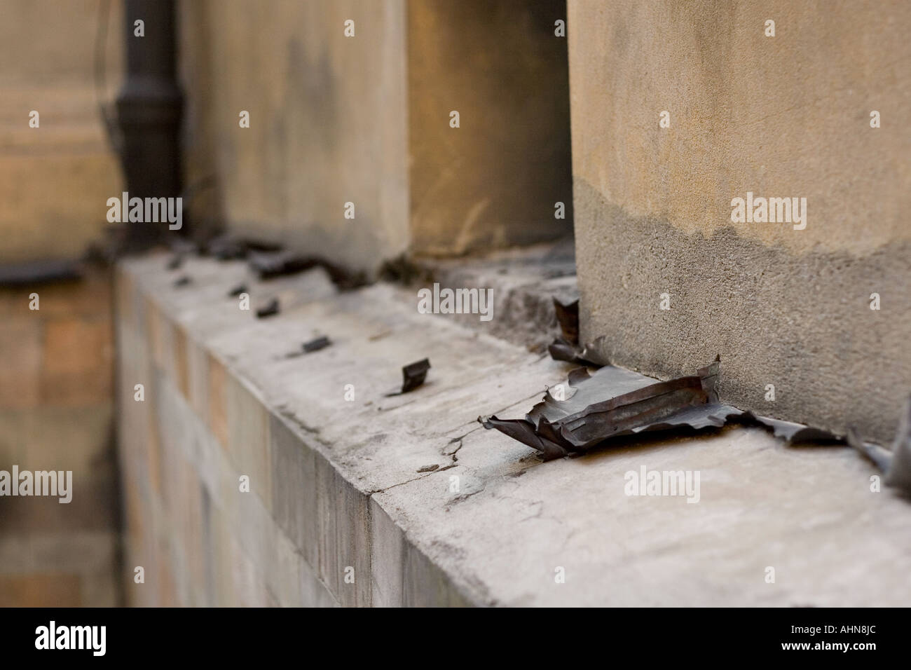 Mould bay hi-res stock photography and images - Alamy