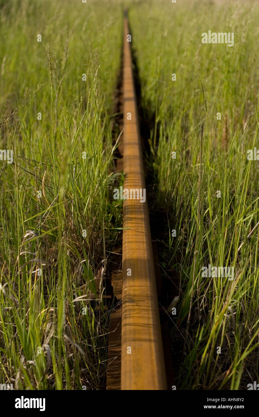 Rusty rails in the grass Stock Photo - Alamy