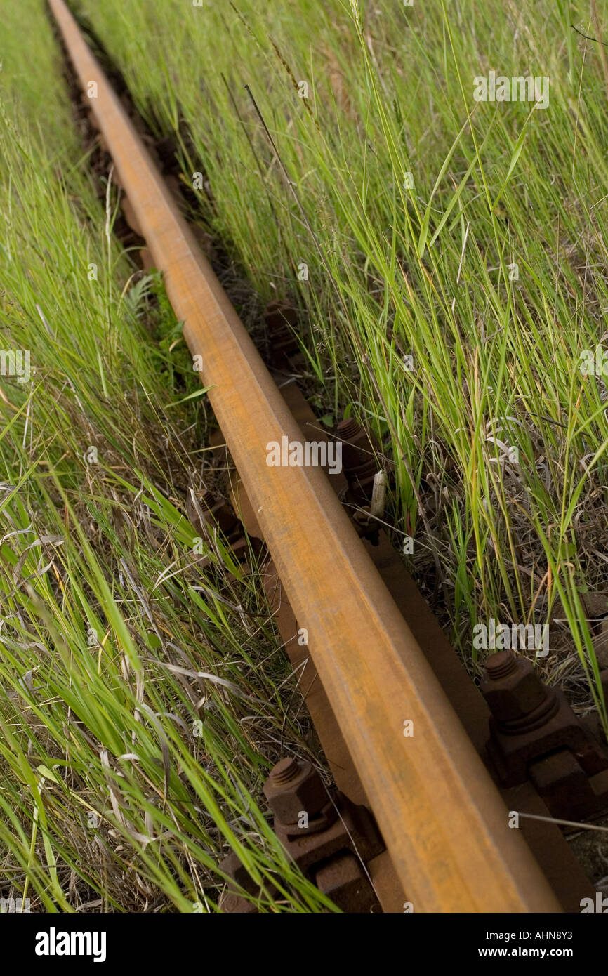 Rusty railroad track with weeds hi-res stock photography and images - Alamy