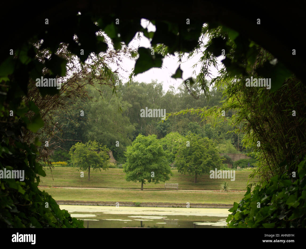 Looking through trees to the Eagle Pond at Newstead Abbey ...