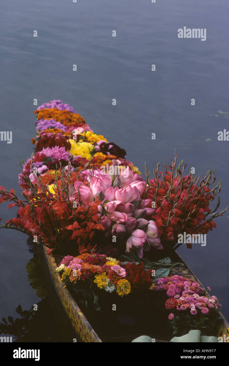Flowers for sale on a Shikara boat Lake Dal Srinagar Kashmir India ...