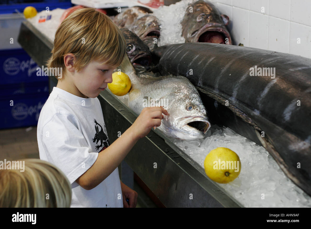 Boy at fish markets Stock Photo - Alamy