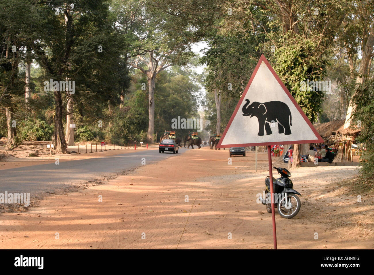 Danger Elephants Crossing, roadsign. Angkor, Cambodia Stock Photo - Alamy