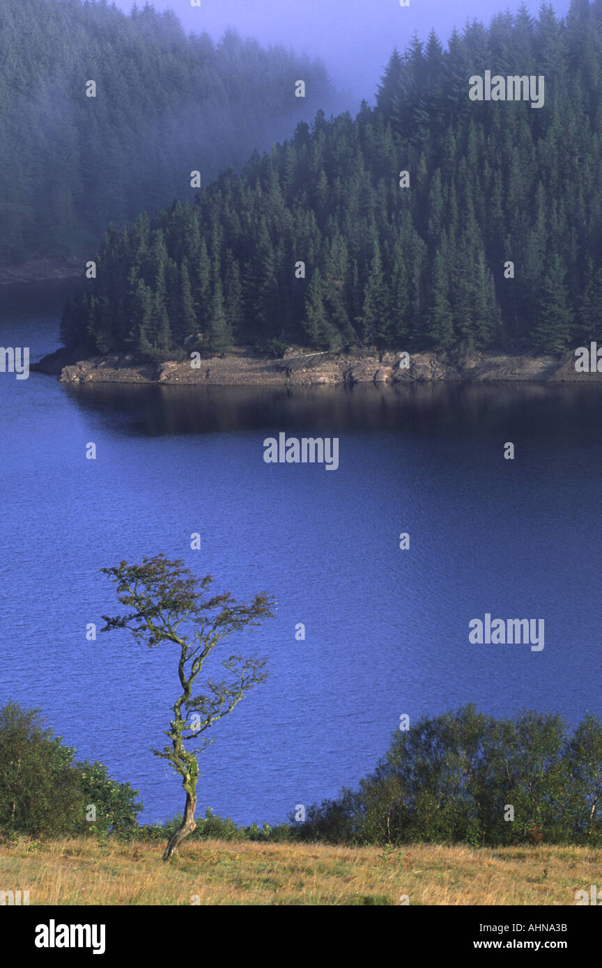 Llyn Brianne Reservoir Stock Photo - Alamy