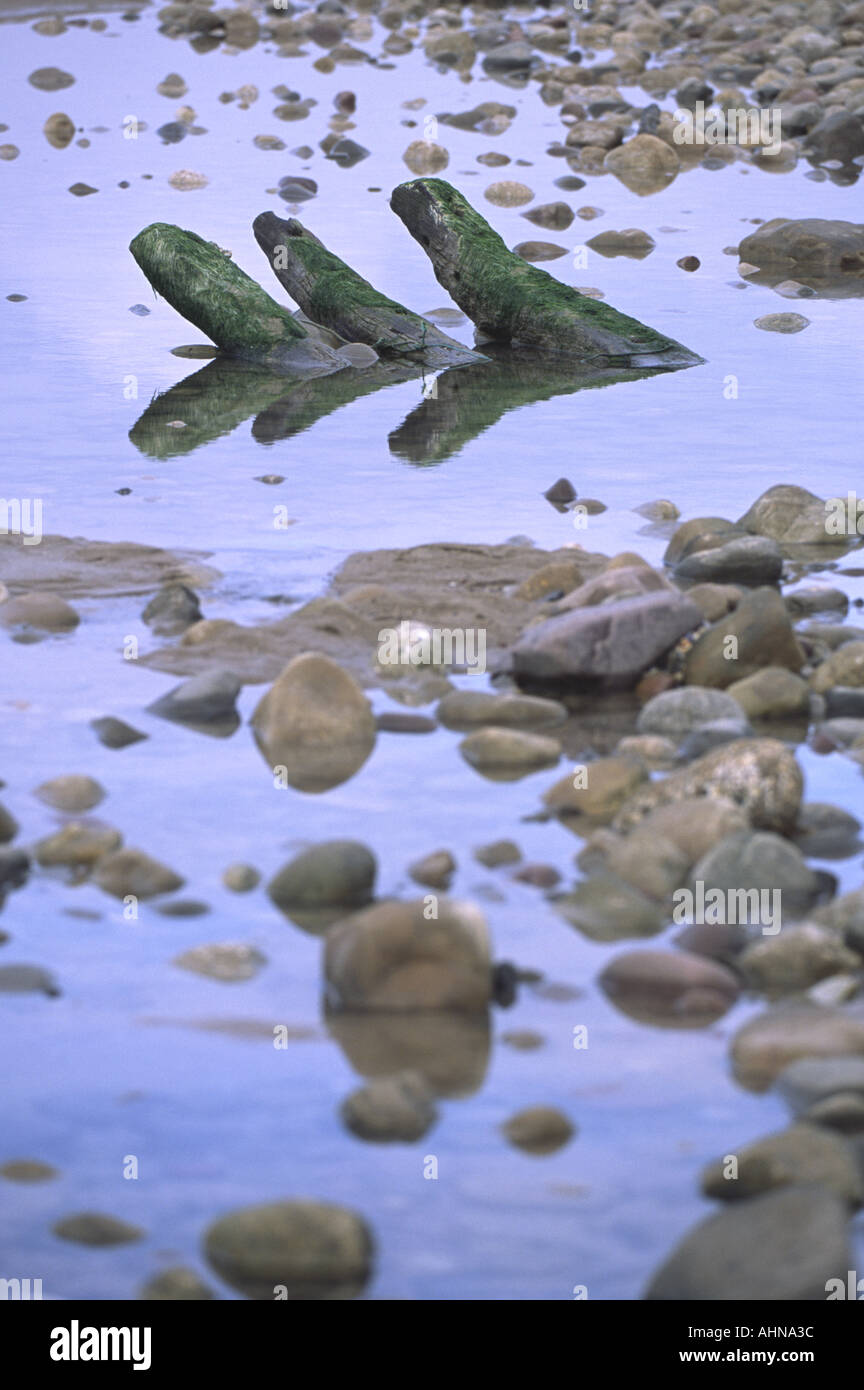 Kenfig wales beach hi-res stock photography and images - Alamy