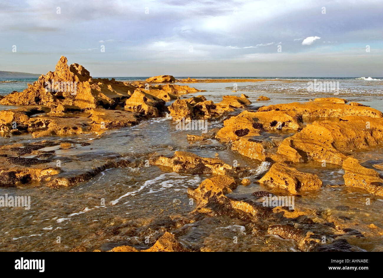 Glowing rocks on Anglesea Beach Great Ocean Road Victoria Australia ...