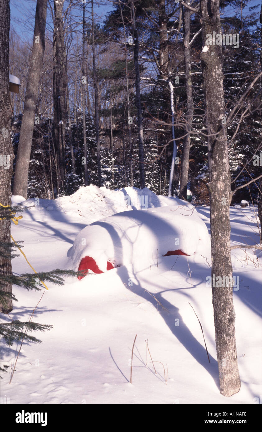 Wisconsin winter trees landscape hi-res stock photography and images ...
