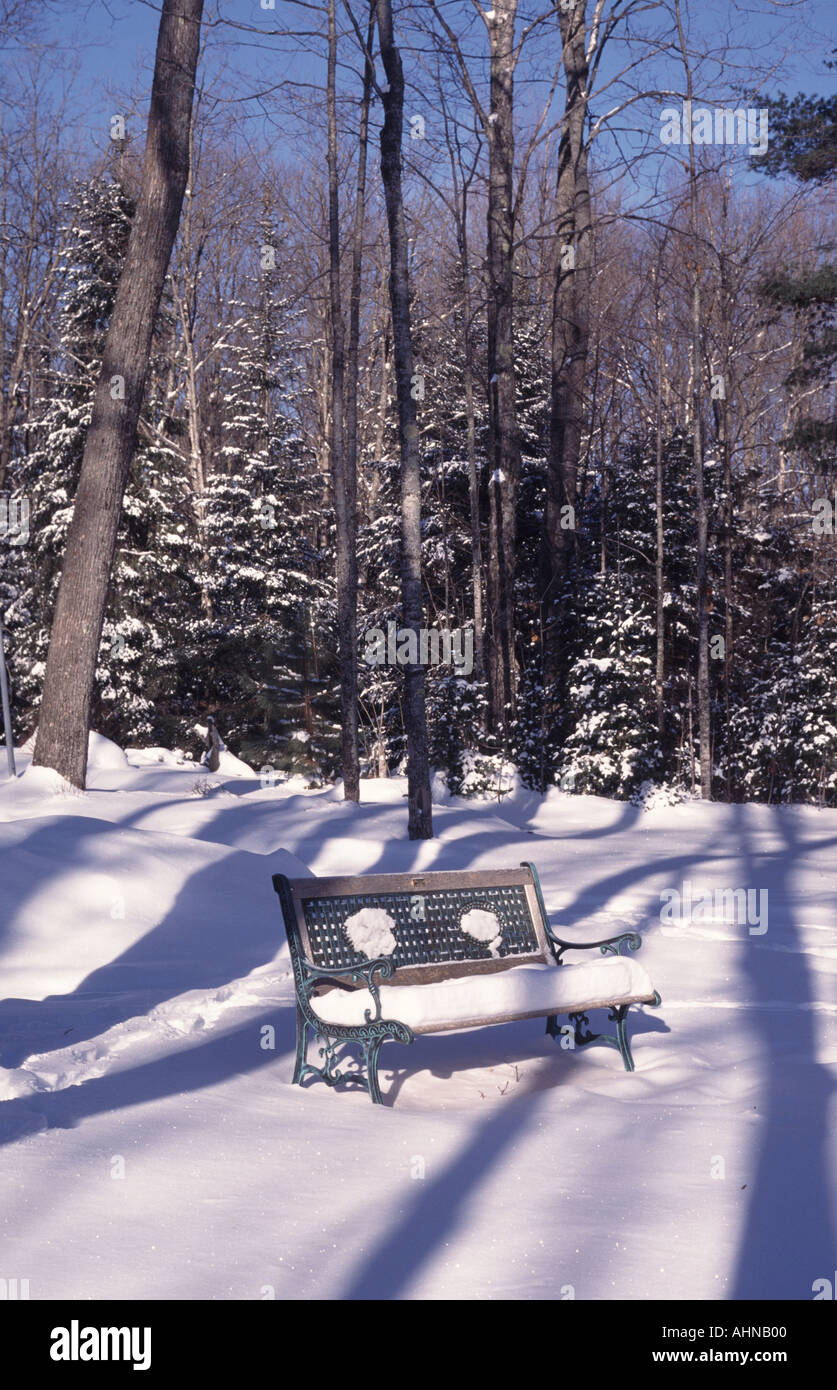 Wisconsin winter trees landscape hi-res stock photography and images ...