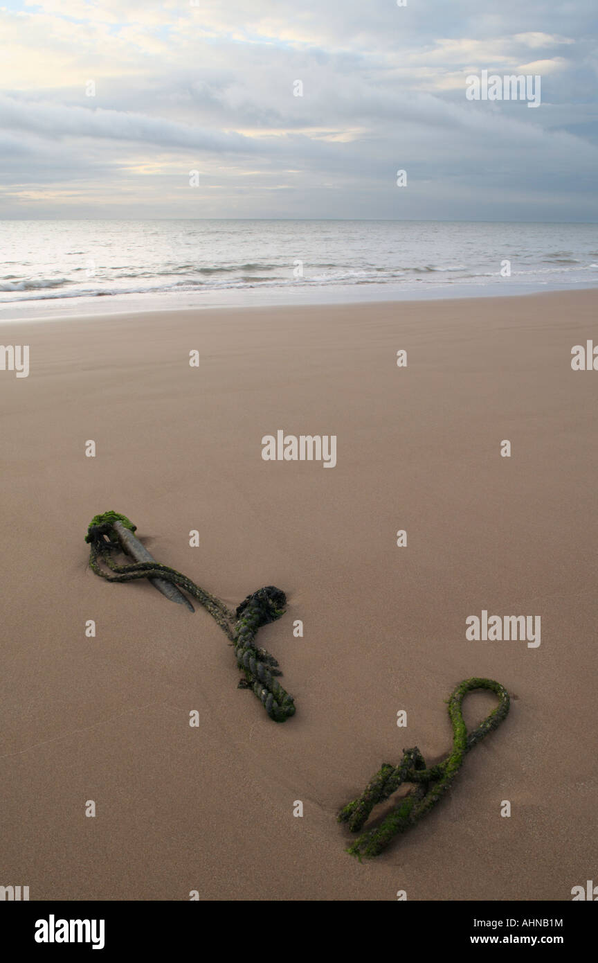 Old rope on the beach at Lunan Bay, Angus, Scotland, UK Stock Photo - Alamy