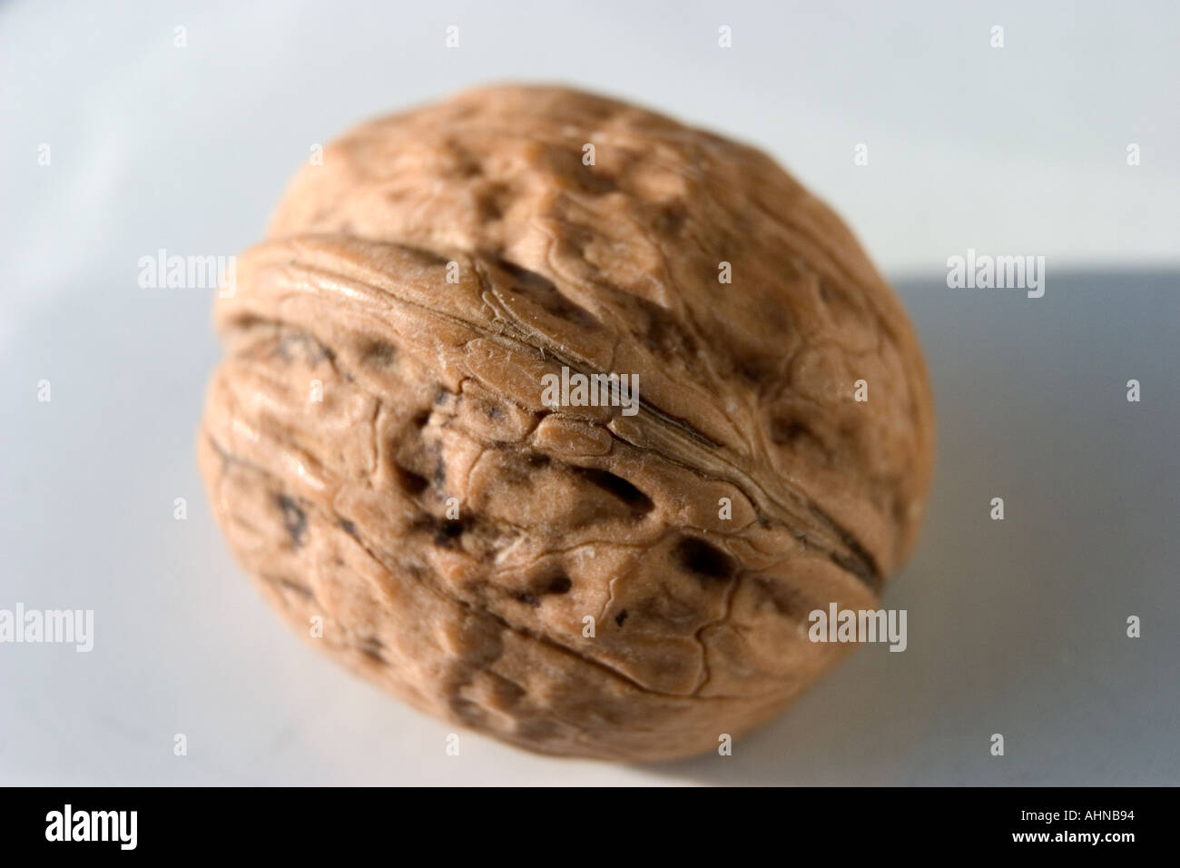 Walnut sheels hi-res stock photography and images - Alamy