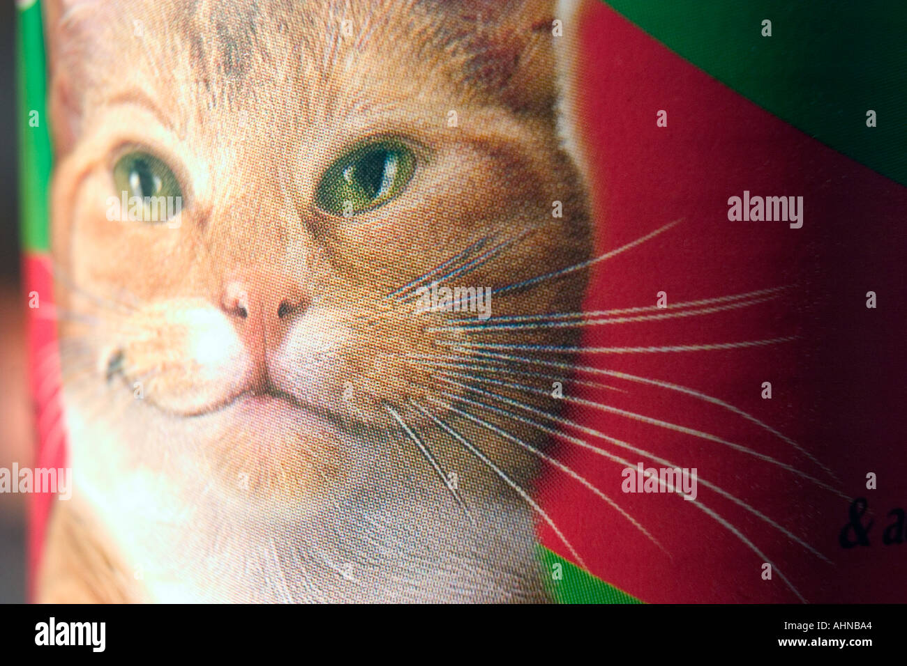 face pf cat on a canned food Stock Photo - Alamy