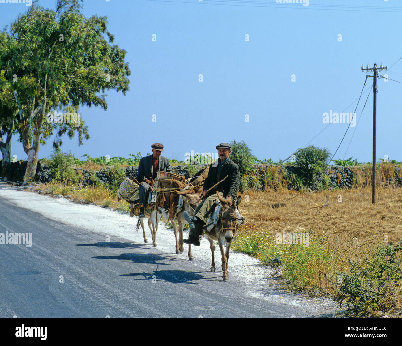 Donkeys of thera hi-res stock photography and images - Alamy