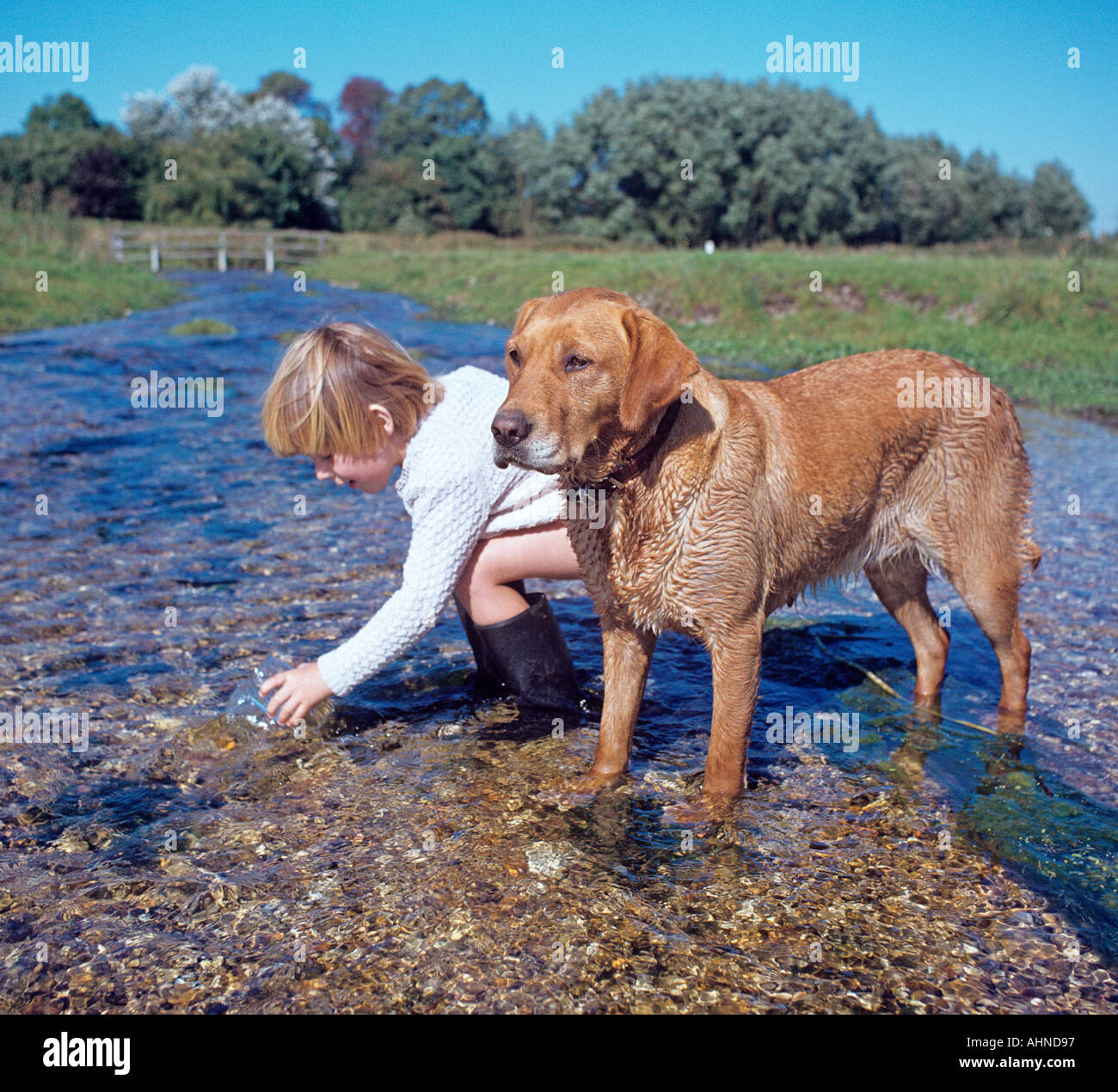 Tiddlers hi-res stock photography and images - Alamy