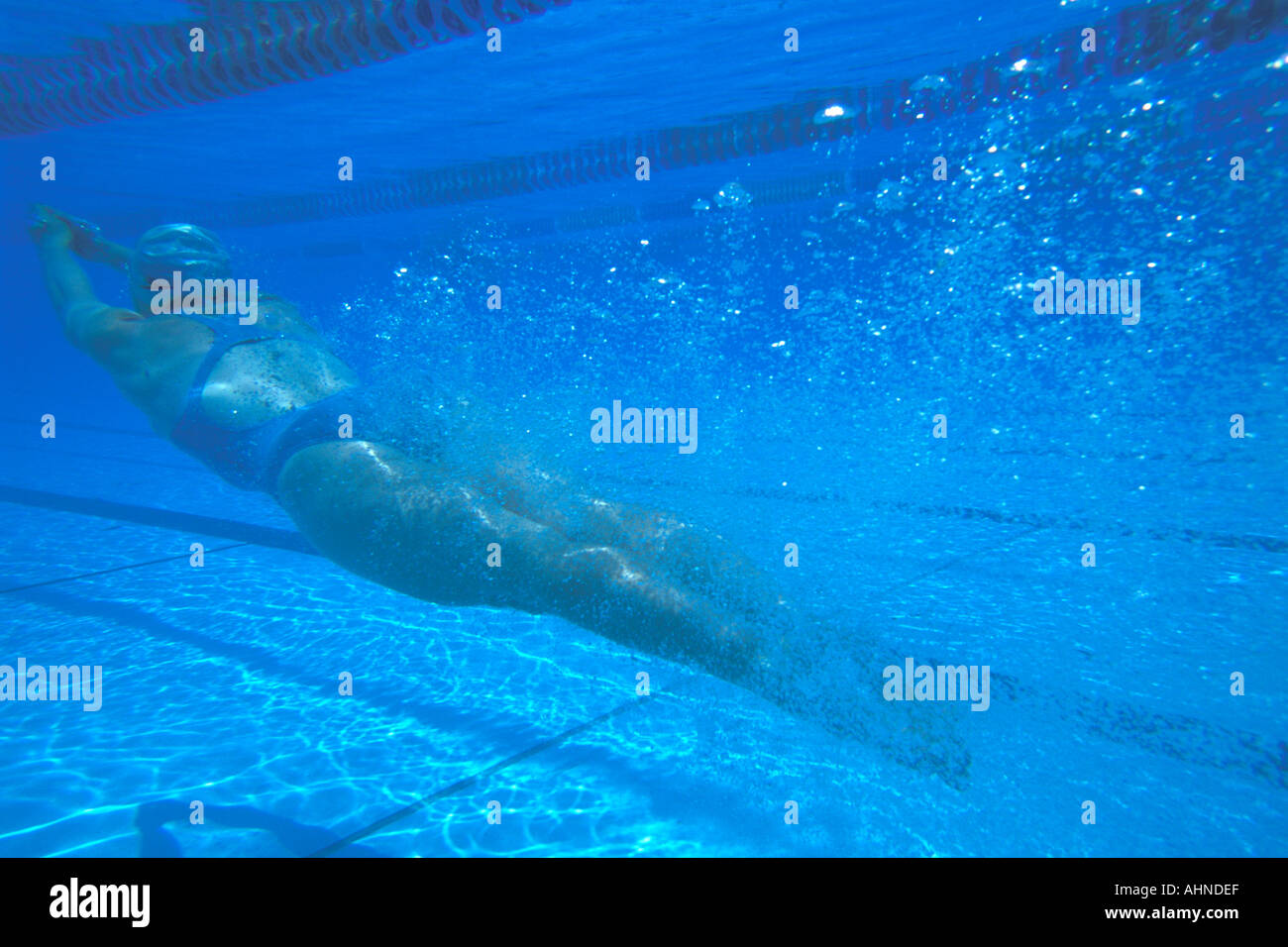 Australia Queensland woman diving into pool MR available Stock Photo ...