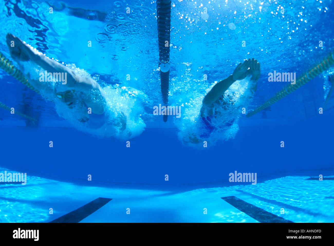 2 women diving into swimming pool Stock Photo - Alamy