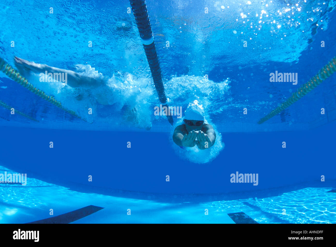 2 women diving into swimming pool Stock Photo - Alamy