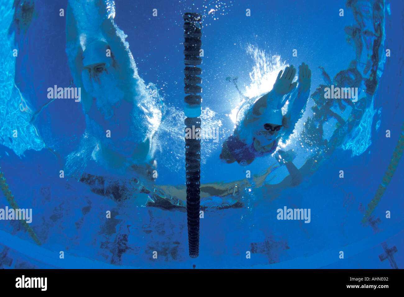 2 women diving into swimming pool Stock Photo - Alamy