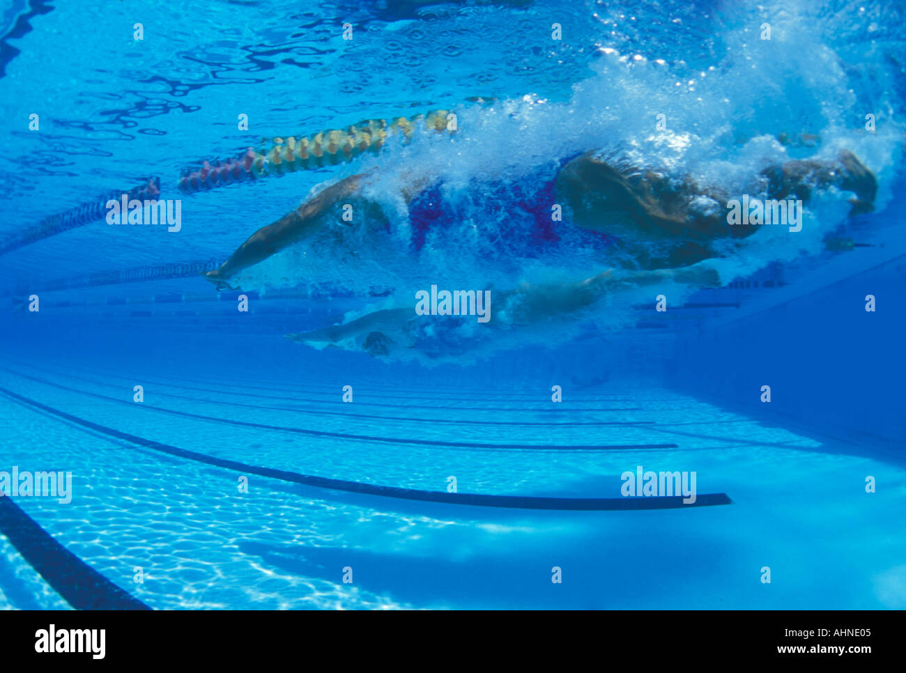 2 women diving into swimming pool Stock Photo - Alamy