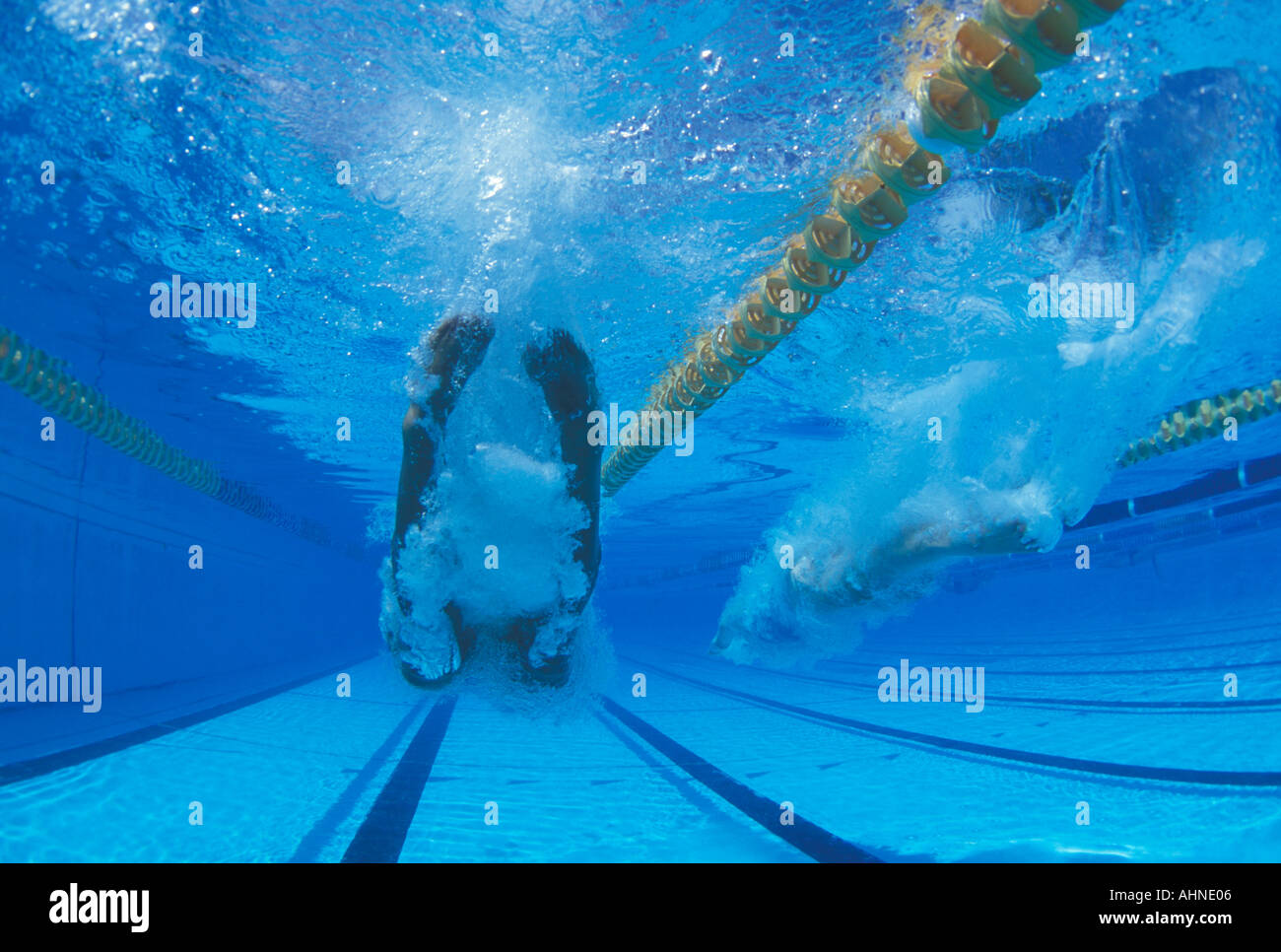 2 women diving into swimming pool Stock Photo - Alamy