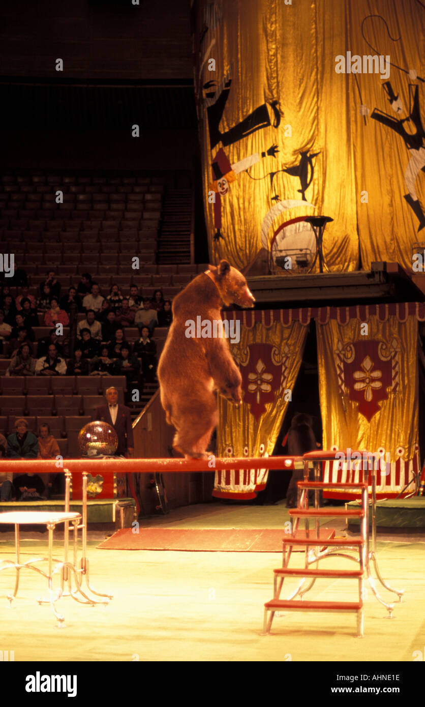 Moscow Russia Moscow Circus Performing Bear Stock Photo - Alamy