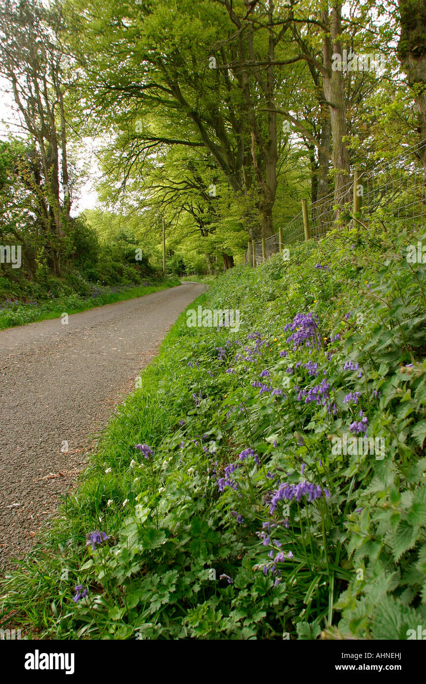Country road wales hi-res stock photography and images - Alamy