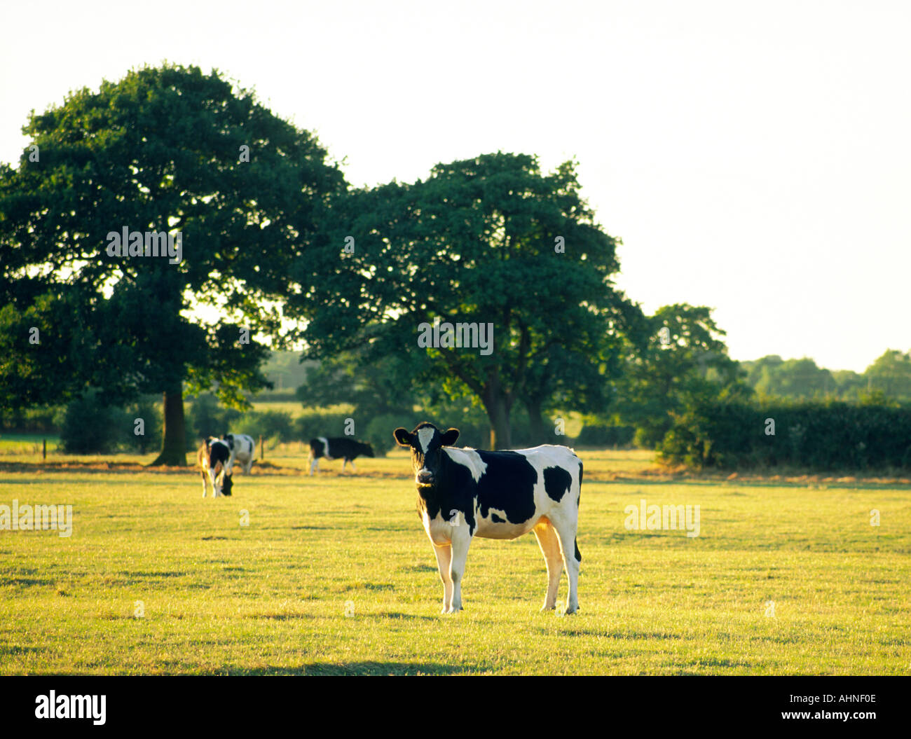 Rural england hi-res stock photography and images - Alamy