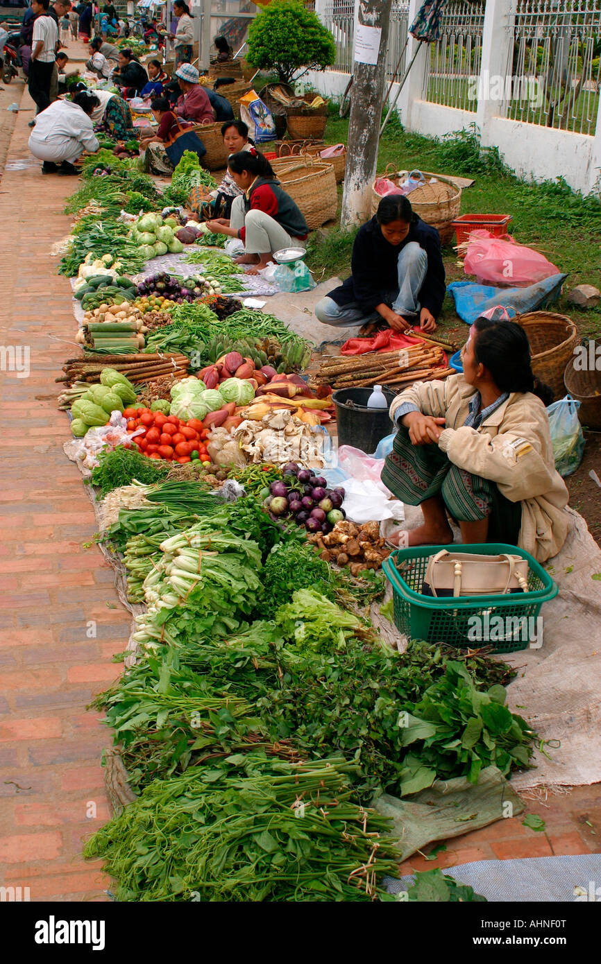 Laos Luang Prabang roadside vegetable stalls Stock Photo - Alamy