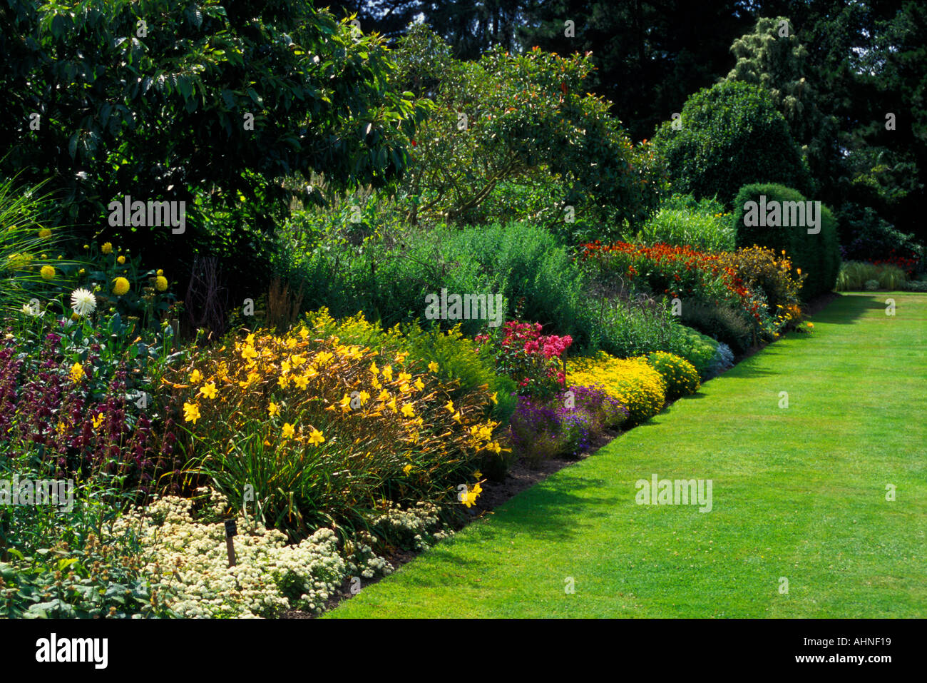 Lemon border hi-res stock photography and images - Alamy