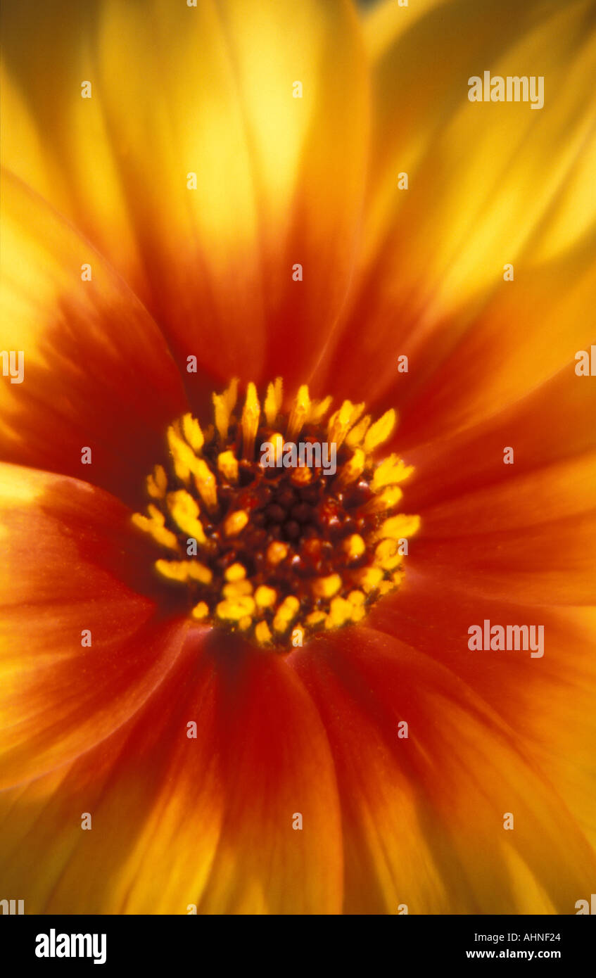 Moonfire hi-res stock photography and images - Alamy