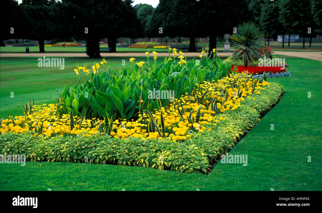 Flower bed with marigold calendula tagetes Stock Photo - Alamy