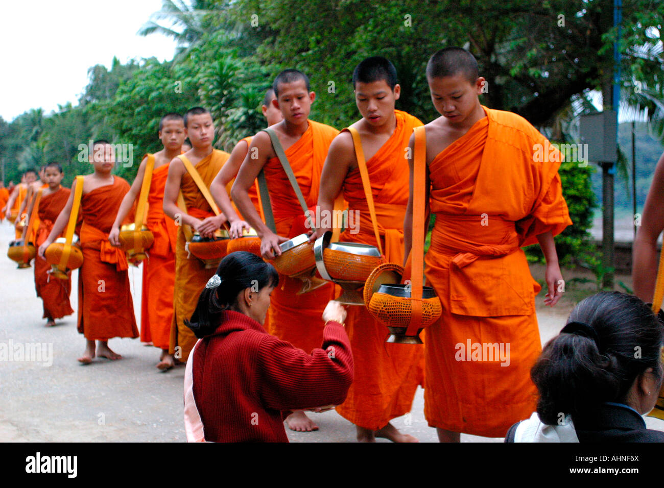 Laos Luang Prabang Religion Buddhist monks on morning alms round Stock ...