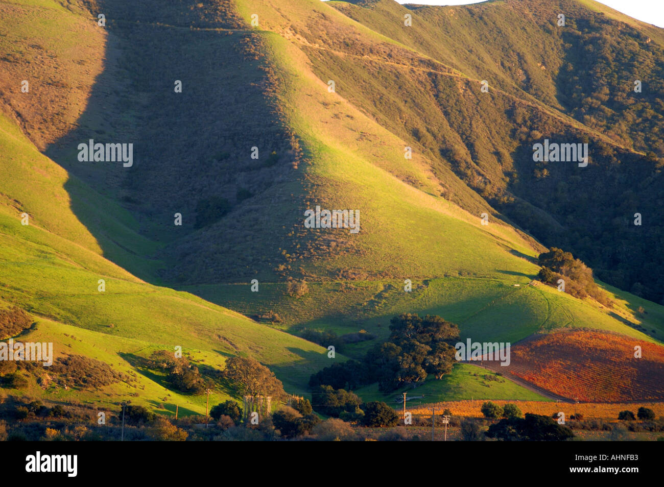 Buellton farm hi-res stock photography and images - Alamy
