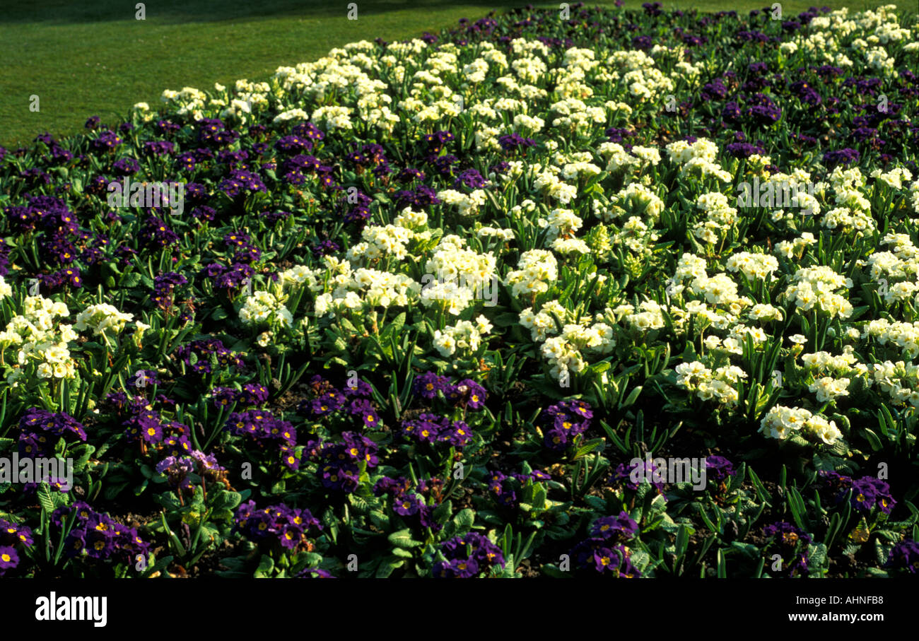 Crescendo hi-res stock photography and images - Alamy