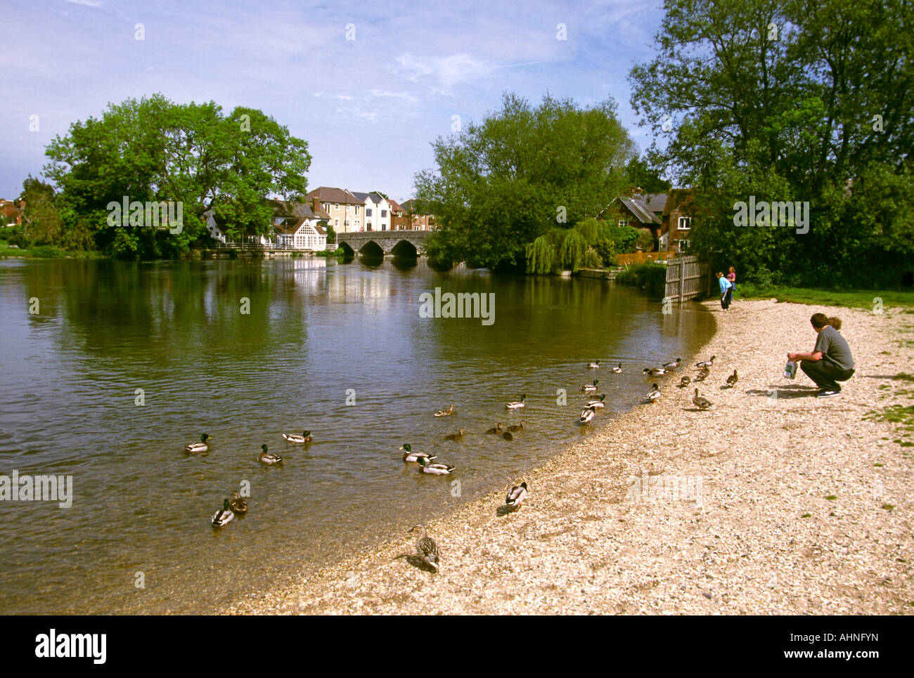 New forest fordingbridge hampshire uk hi-res stock photography and ...