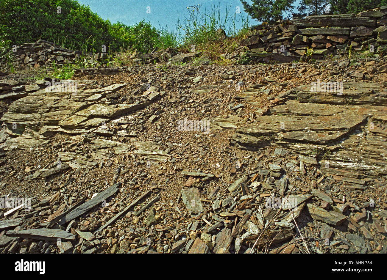 Soil sample in Anjou that shows the slate schist structure at the ...