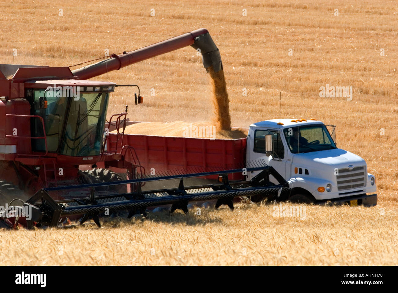 Wheat farm near pendleton oregon hi-res stock photography and images ...
