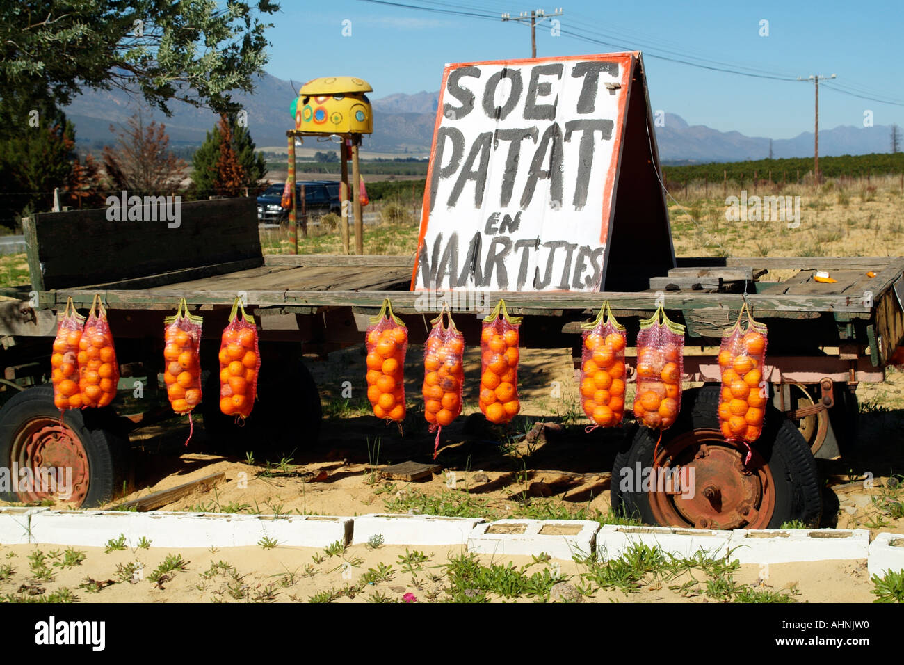 Farmstall selling citrus fruits.Citrusdal in the western cape South ...