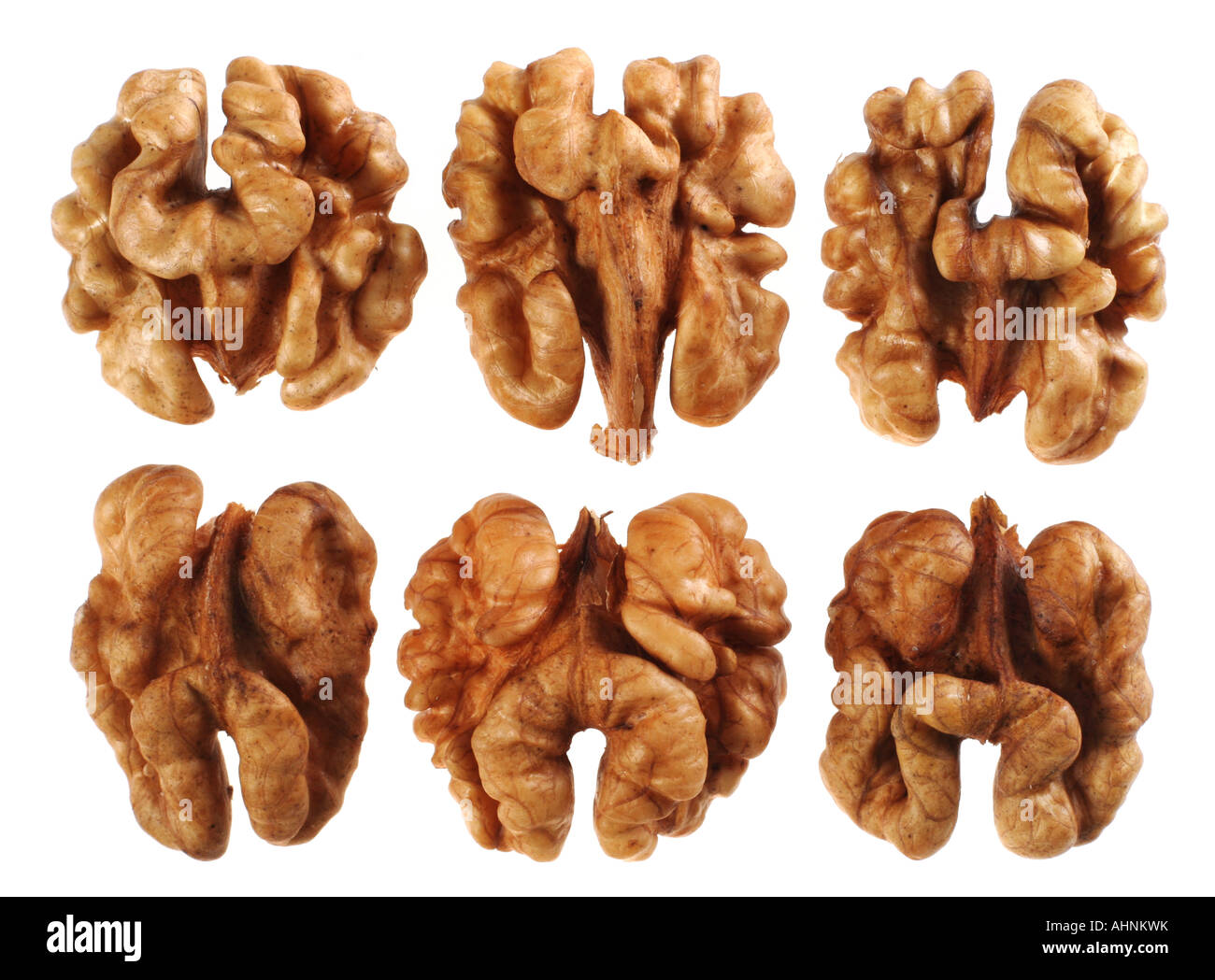 Walnut detail and set on white background Stock Photo - Alamy