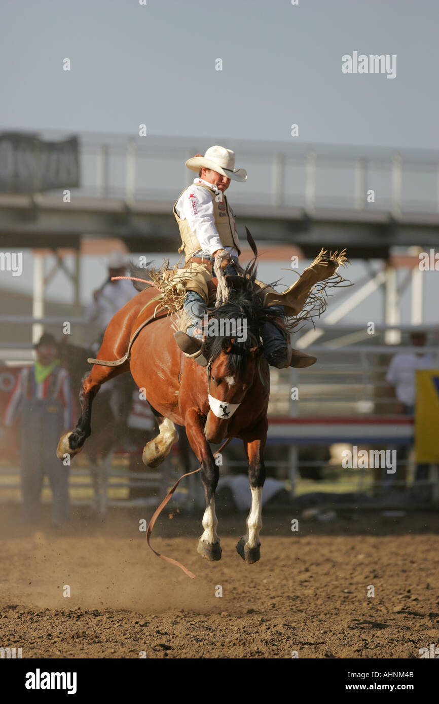Rodeo action bucking bronco Stock Photo - Alamy