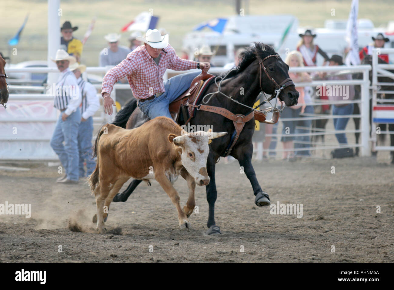 Rodeo bravery hi-res stock photography and images - Alamy